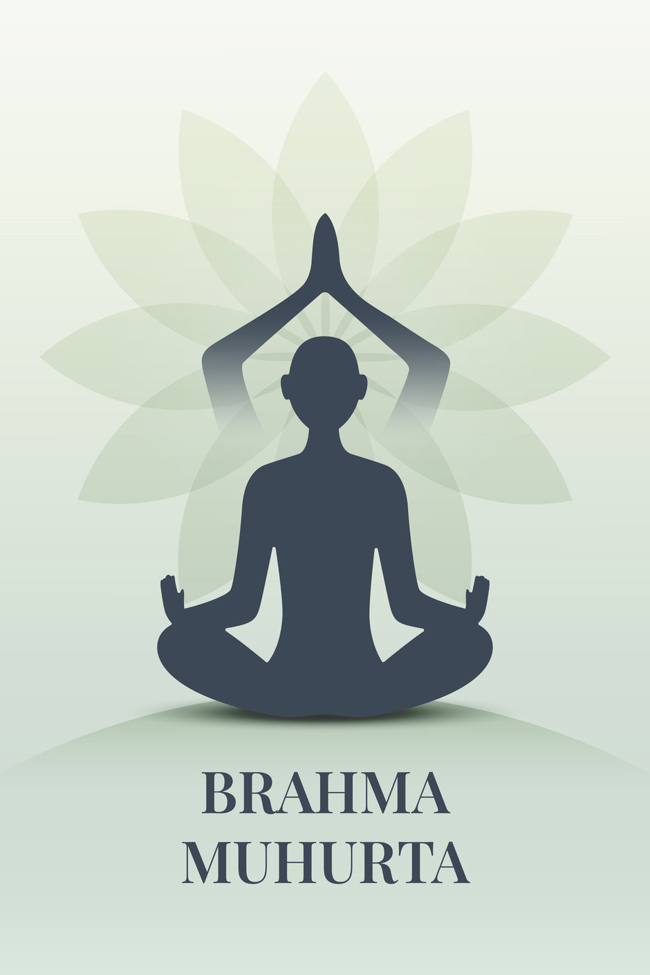Session – Zeal Healing